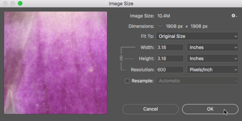 Chapter 7 CC18 - Digital Foundations