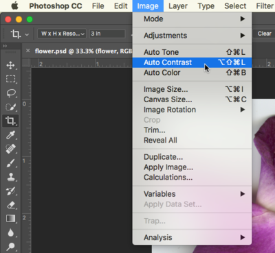 Chapter 7 CC18 - Digital Foundations